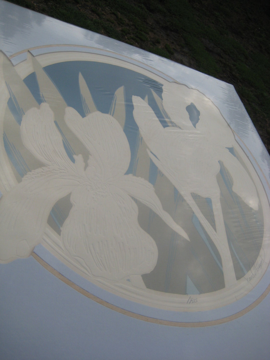 Art Embossed Serigraph Picture DAVID ALLGOOD Coa 1983 Beautiful Iris ...