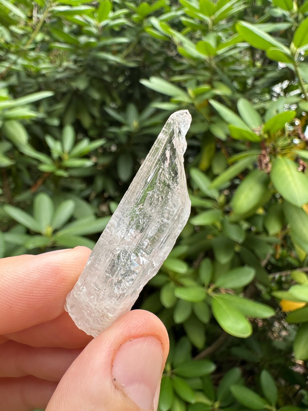 Gorgeous Clear Danburite Crystal With Rainbows (mexico) - Etsy