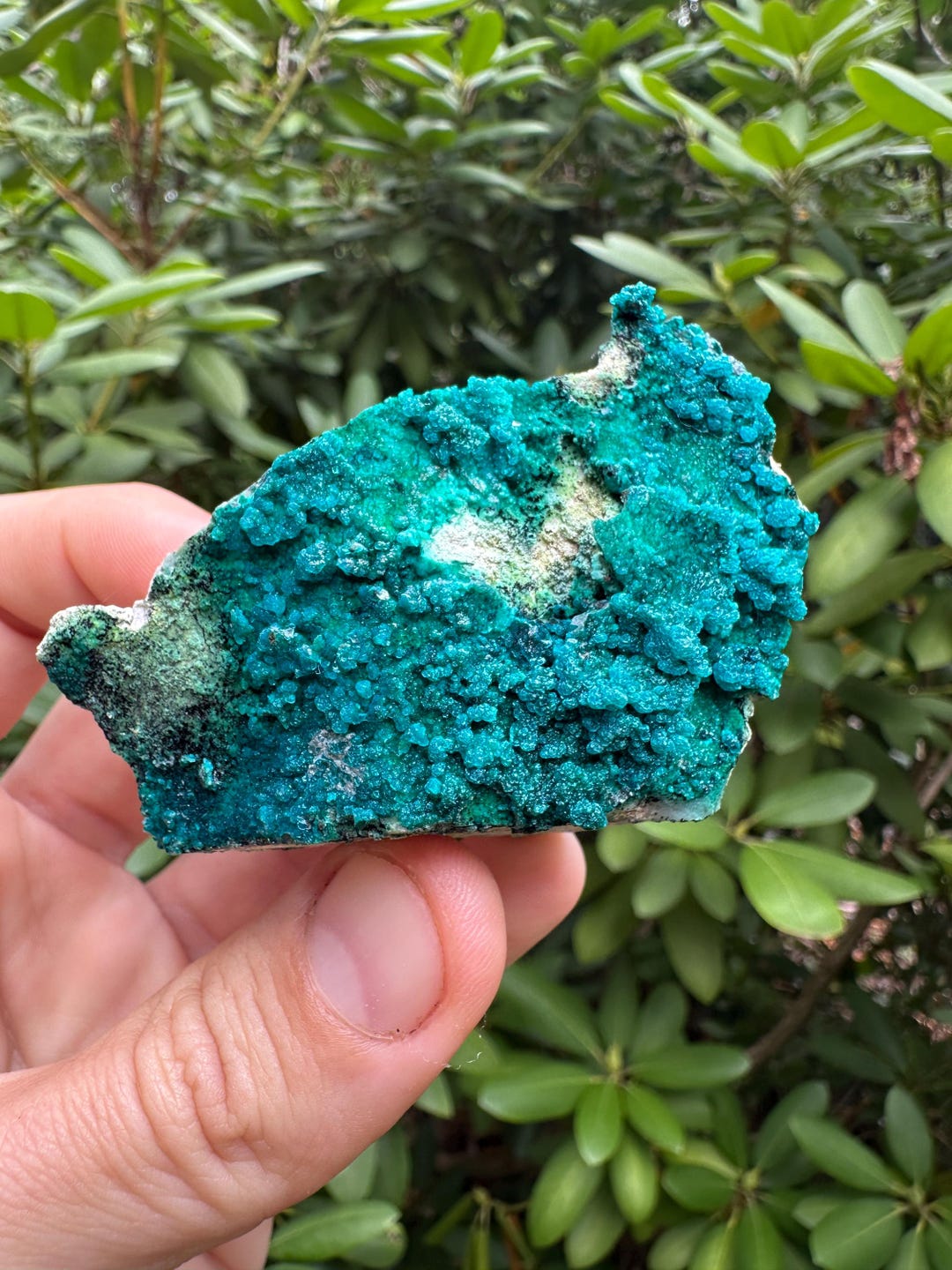 Rare and Brilliant Blue Cunyari Chrysocolla (peru) - Etsy
