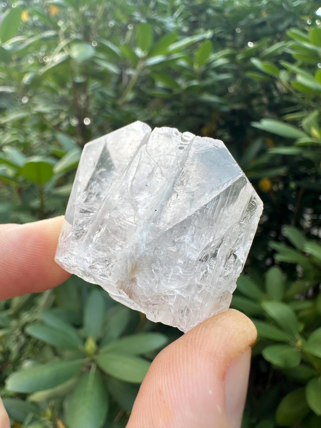 Chunky Clear Danburite Crystal (mexico) - Etsy