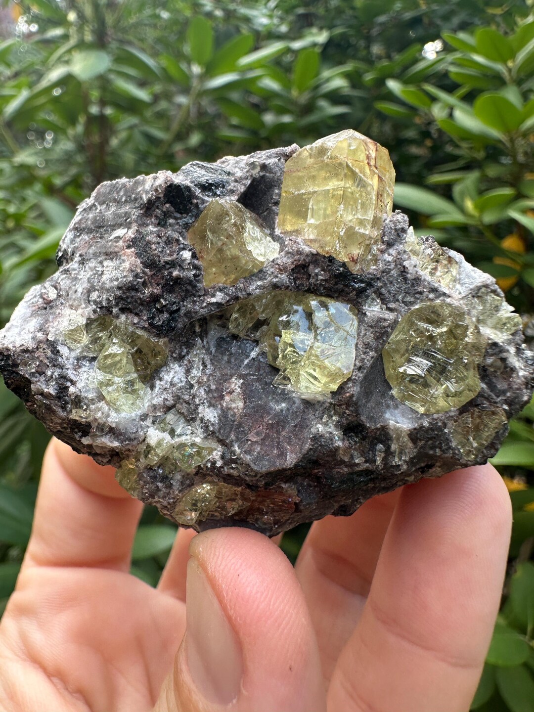 Big Yellow Apatite on Matrix (mexico) - Etsy