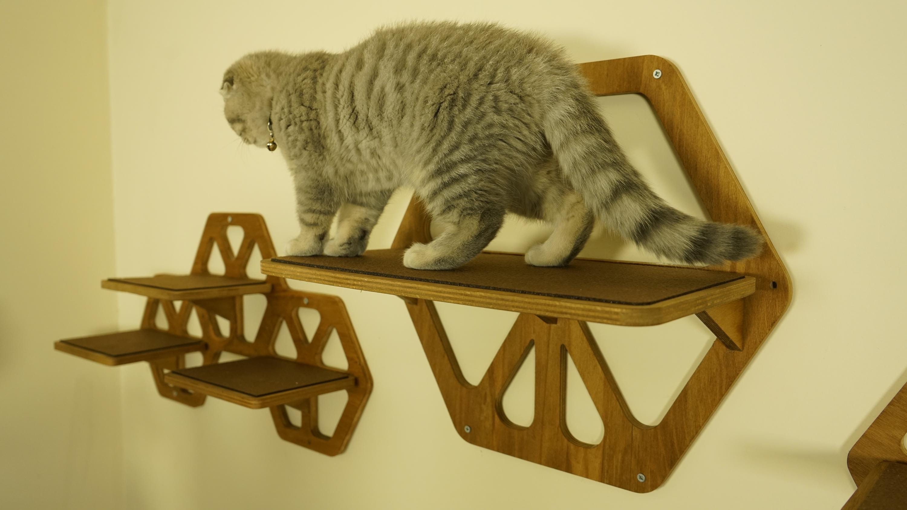 Hexagon Wooden Cat Wall Shelf , 6 Pcs Mounted Cat Wall Furniture ...