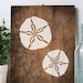 Sand Dollar Stencils WALL ART STENCIL Instead of Decals | Etsy