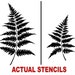 Wall Stencils Fern Leaves 2pc SM Reusable Stencils for Crafts ...