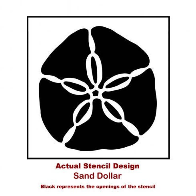 Sand Dollar Stencils WALL ART STENCIL Instead of Decals - Etsy