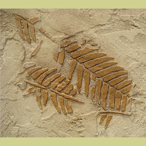 Prehistoric Large Fish Fossil Stencil Raised Plaster Stencil - Etsy
