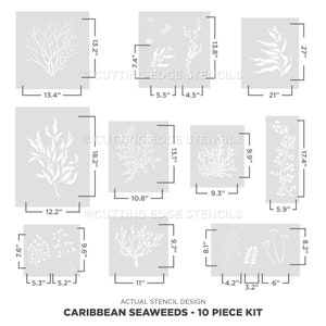 Carribean Seaweed Wall Pattern Stencil Kit - DIY Wall Pattern Kit ...