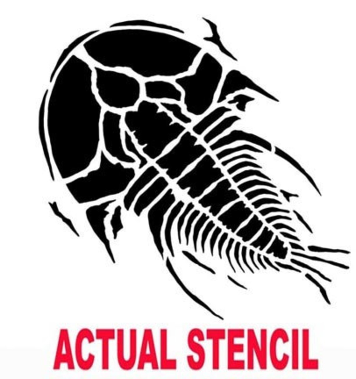 Large Prehistoric Trilobite Fossil Stencil Raised Plaster - Etsy