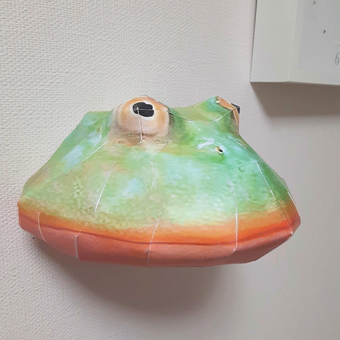 Budget Frog Paper Craft 3D Low Poly Art Model Pattern DIY Polygon Wall ...