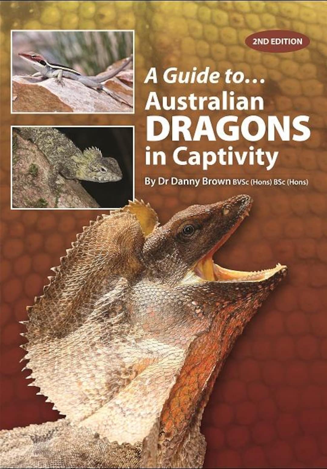 A Guide to Australian Dragons (2nd Edition) - Etsy