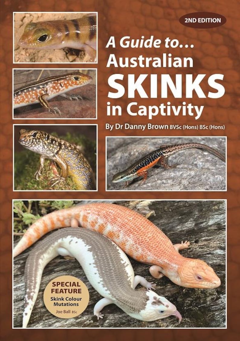 A Guide to Australian Skinks (2nd Edition) - Etsy