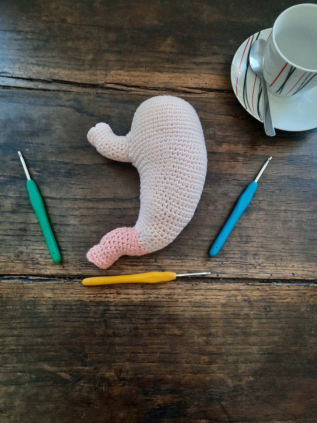 Crochet Stomach Anatomical Artwork - Etsy UK