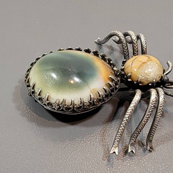 Operculum Shell - Etsy