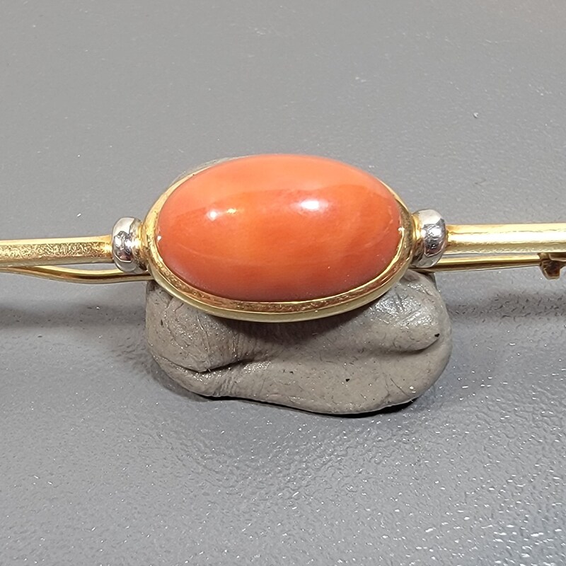 Coral Pin - Etsy