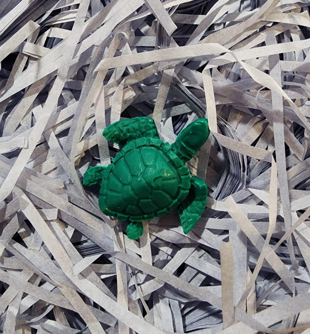 Turtle Crayons - Etsy