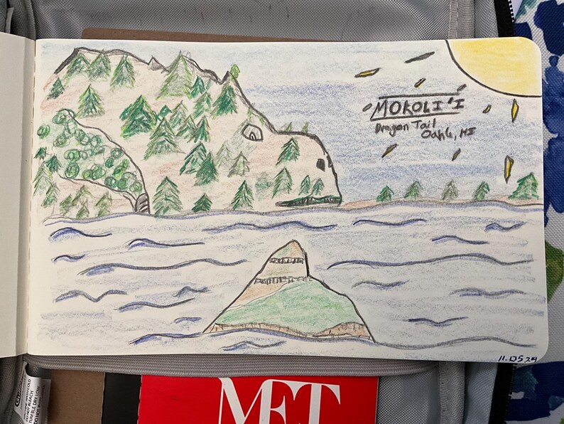 HAWAII MOKOLI’I Tale of the Tail Vinyl Die-cut Matte Sticker - Etsy