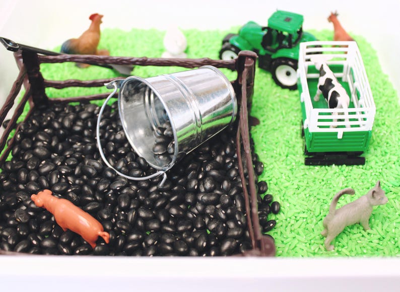 Farm Sensory Bin - Etsy