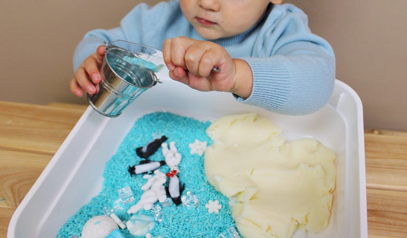 Winter Arctic Sensory Bin - Etsy