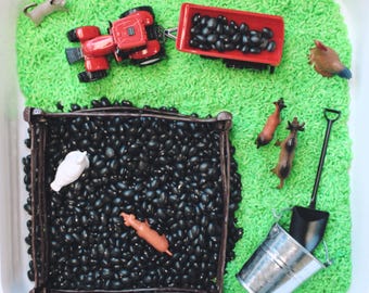Feed the Farm Animals Sensory Bin Activity, Pre-laminated, Montessori ...