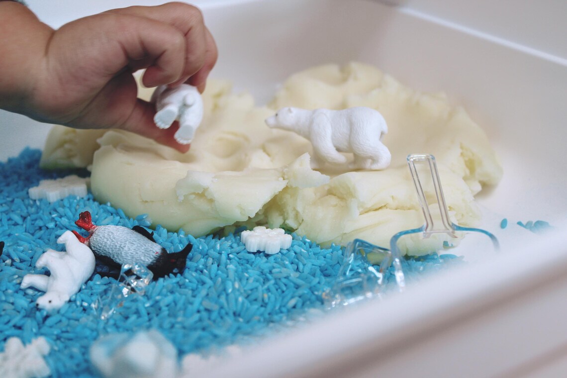 Winter Arctic Sensory Bin - Etsy