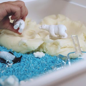 Winter Arctic Sensory Bin - Etsy