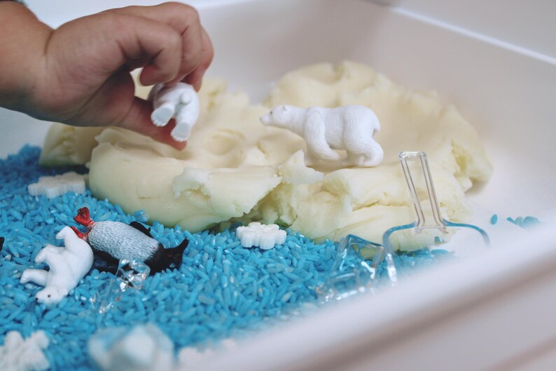 Winter Arctic Sensory Bin - Etsy