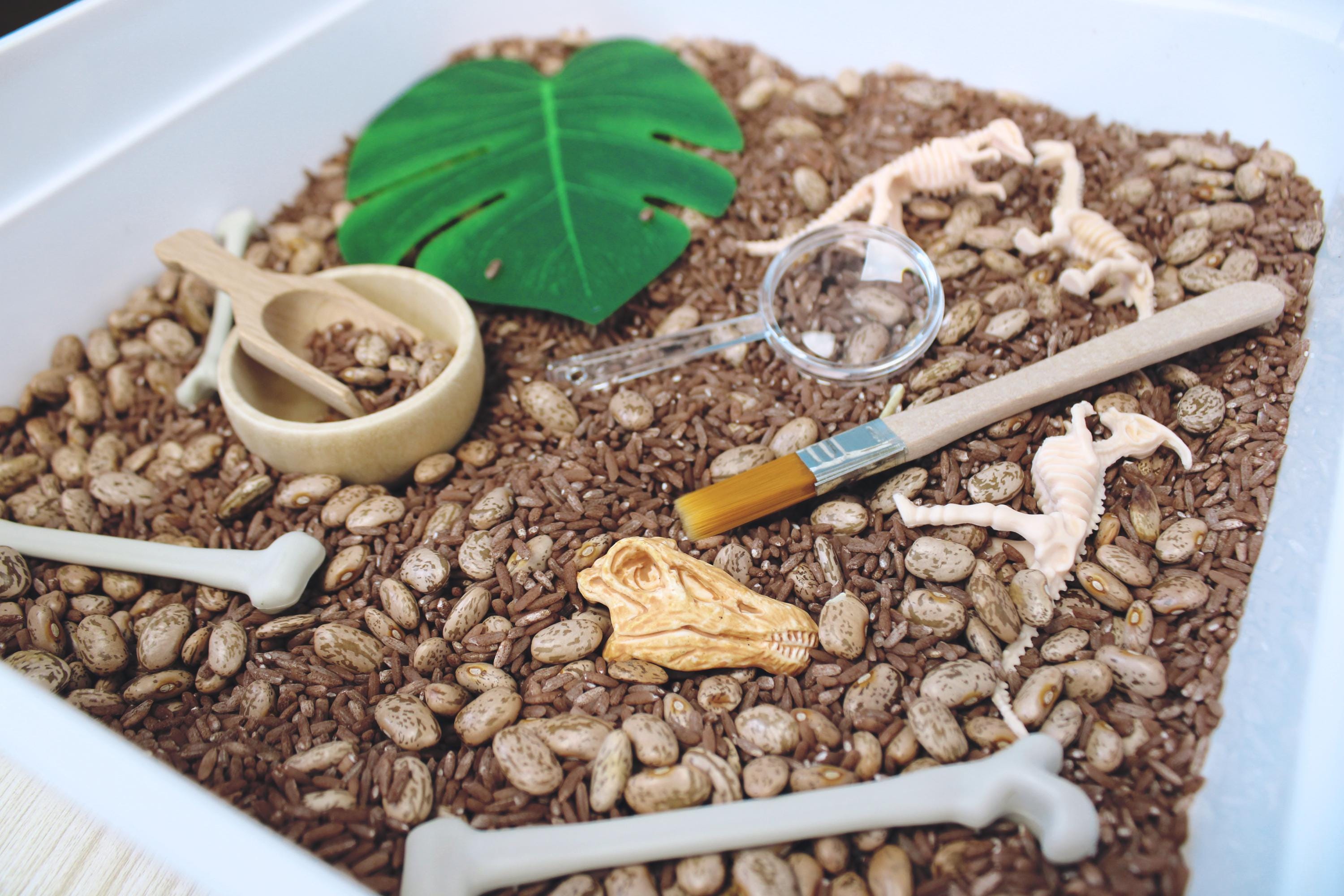 Dinosaur Fossil Sensory Bin - Etsy