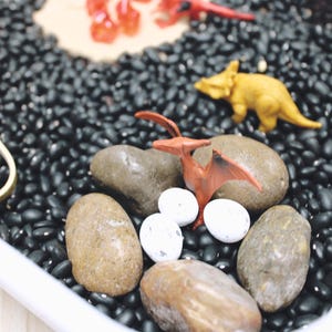 Dinosaur Sensory Bin - Etsy