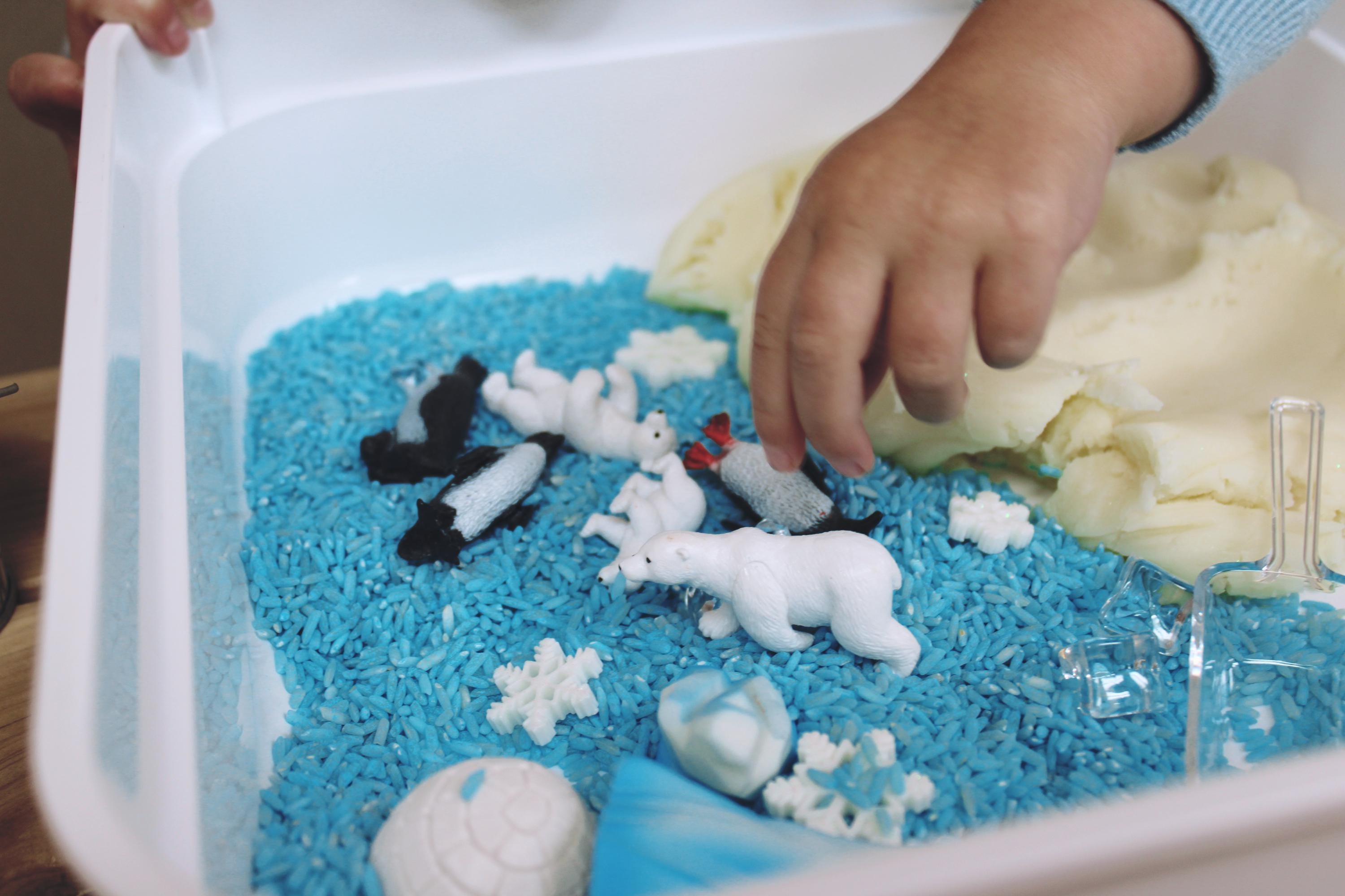 Winter Arctic Sensory Bin - Etsy
