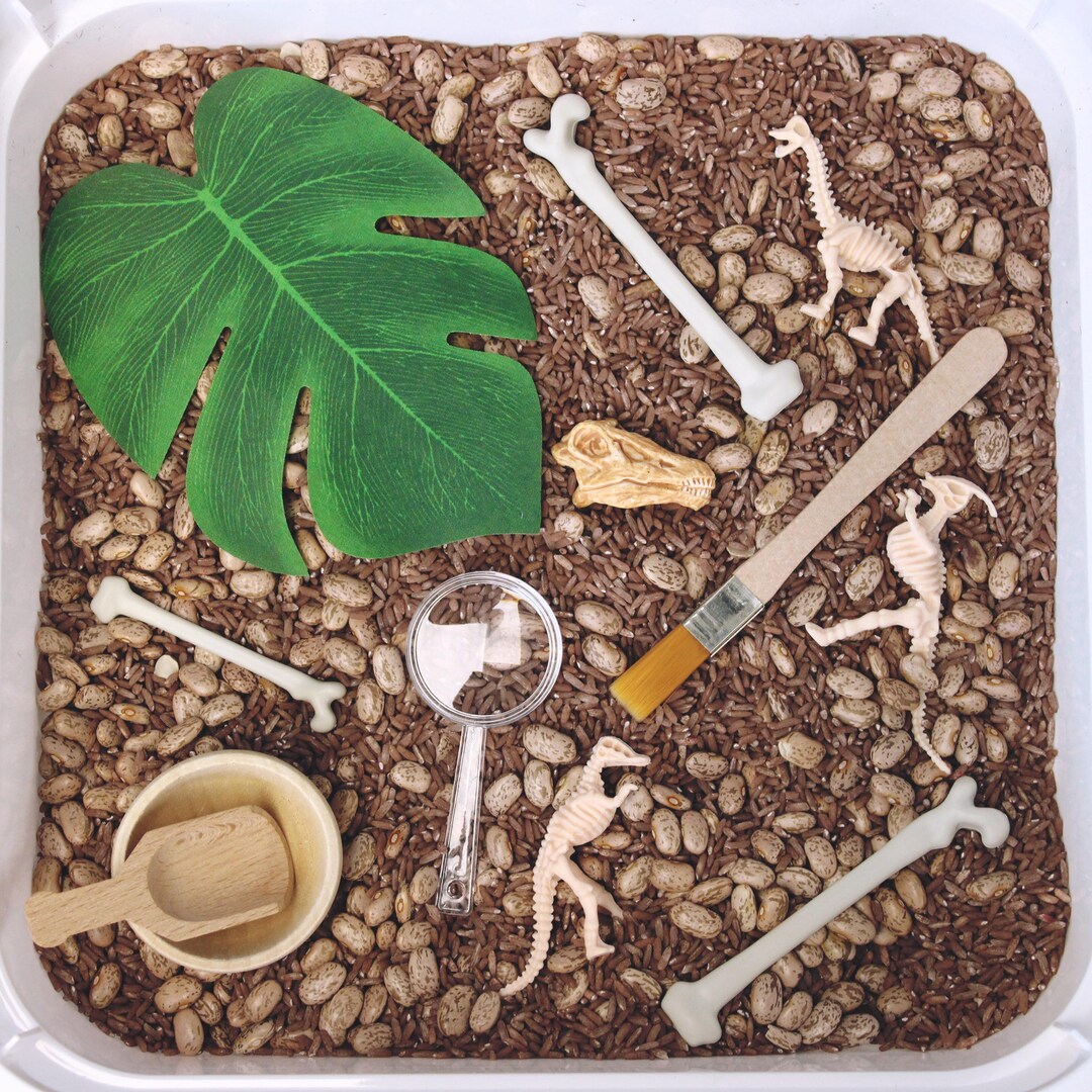 Dinosaur Fossil Sensory Bin - Etsy