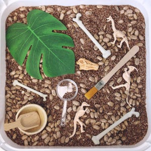 Dinosaur Fossil Sensory Bin - Etsy