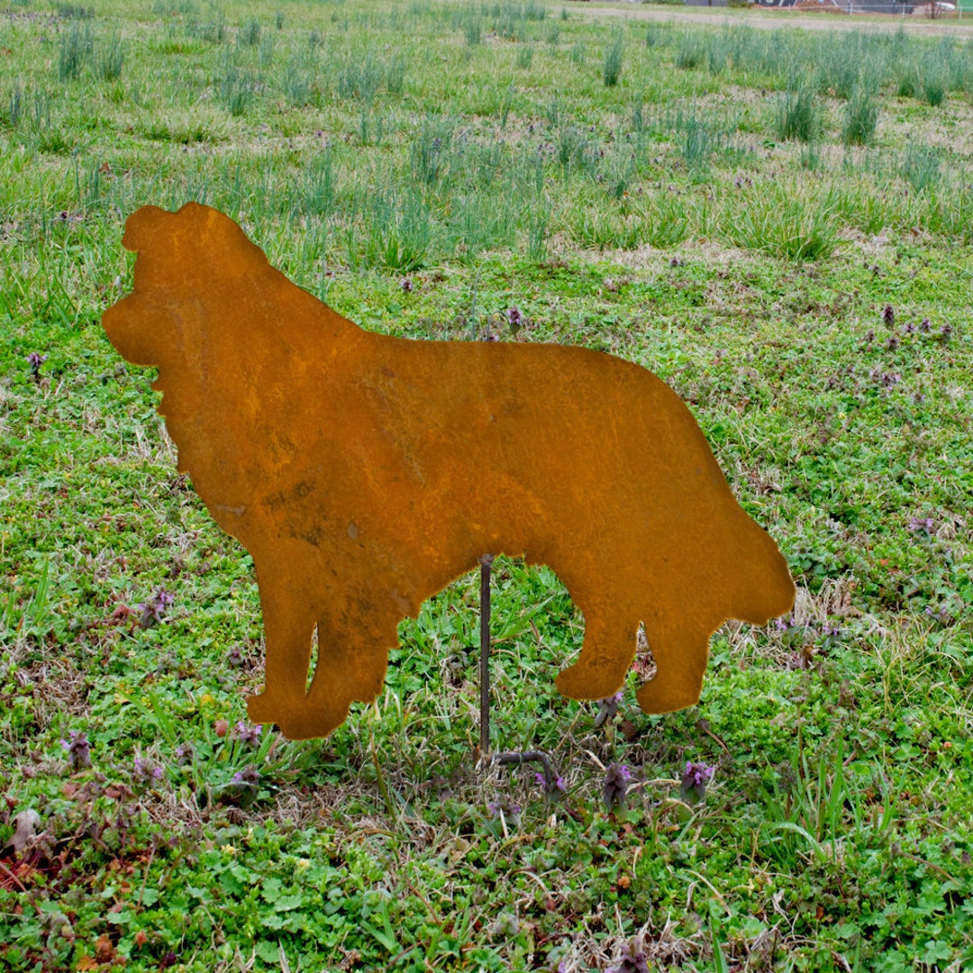 Metal Border Collie Garden Stake - Collie Flowerbed Art - Rusty Metal ...