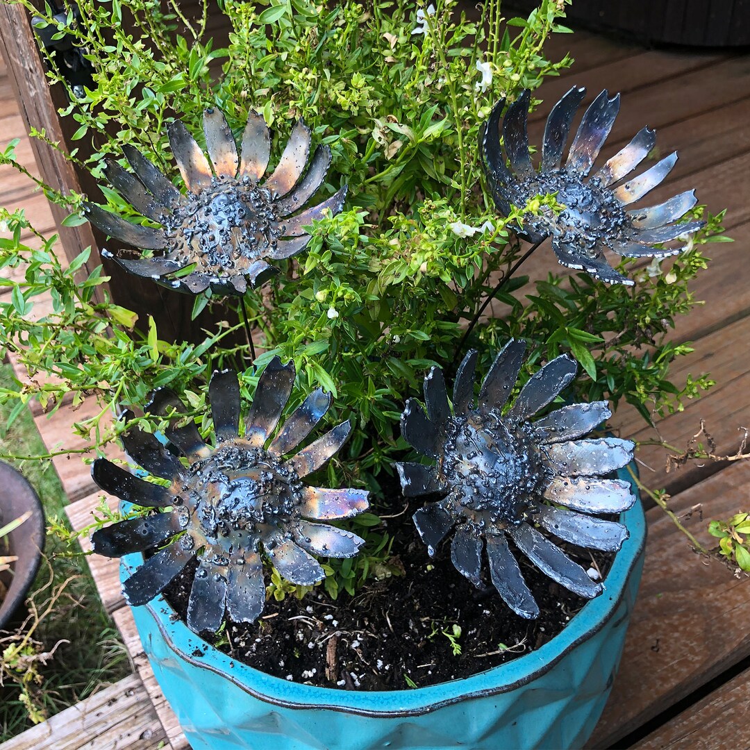 Handmade Raw Steel Gerbera Daisy Flowers: Industrial Home Decor, Set of ...