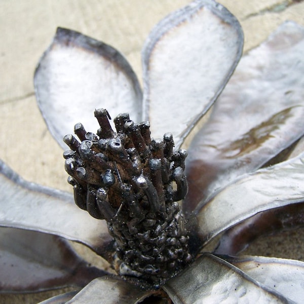 Metal Magnolia Decor - Etsy