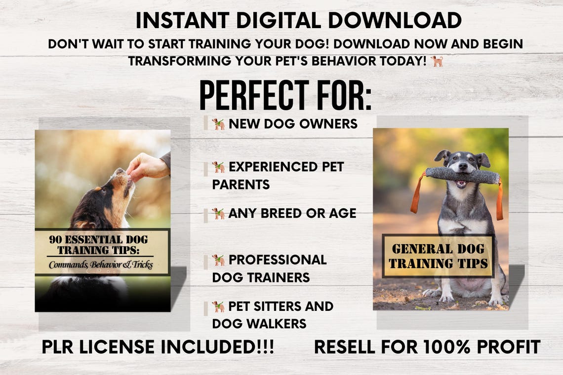 90 Essential Dog Training Tips: Commands, Behavior & Tricks | A ...