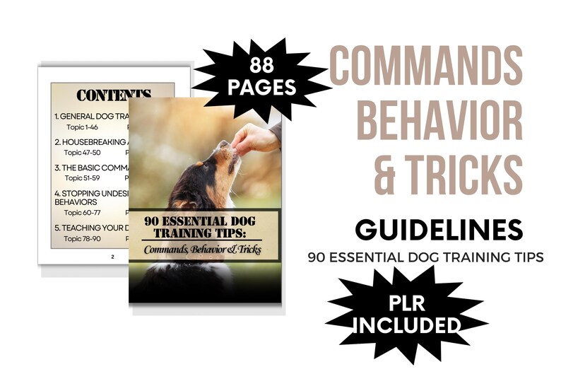 90 Essential Dog Training Tips: Commands, Behavior & Tricks | A ...