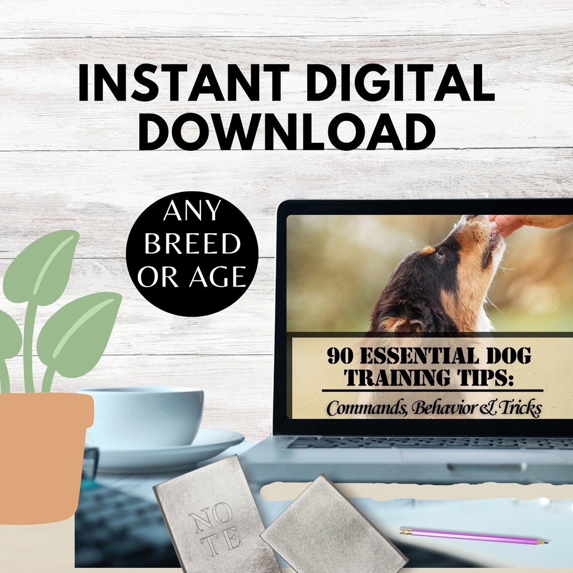 90 Essential Dog Training Tips: Commands, Behavior & Tricks | A ...