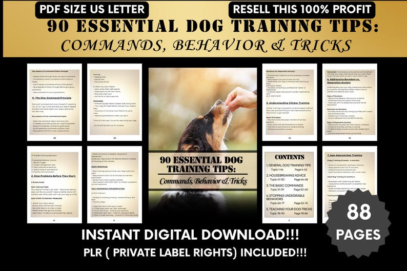 90 Essential Dog Training Tips: Commands, Behavior & Tricks | A ...