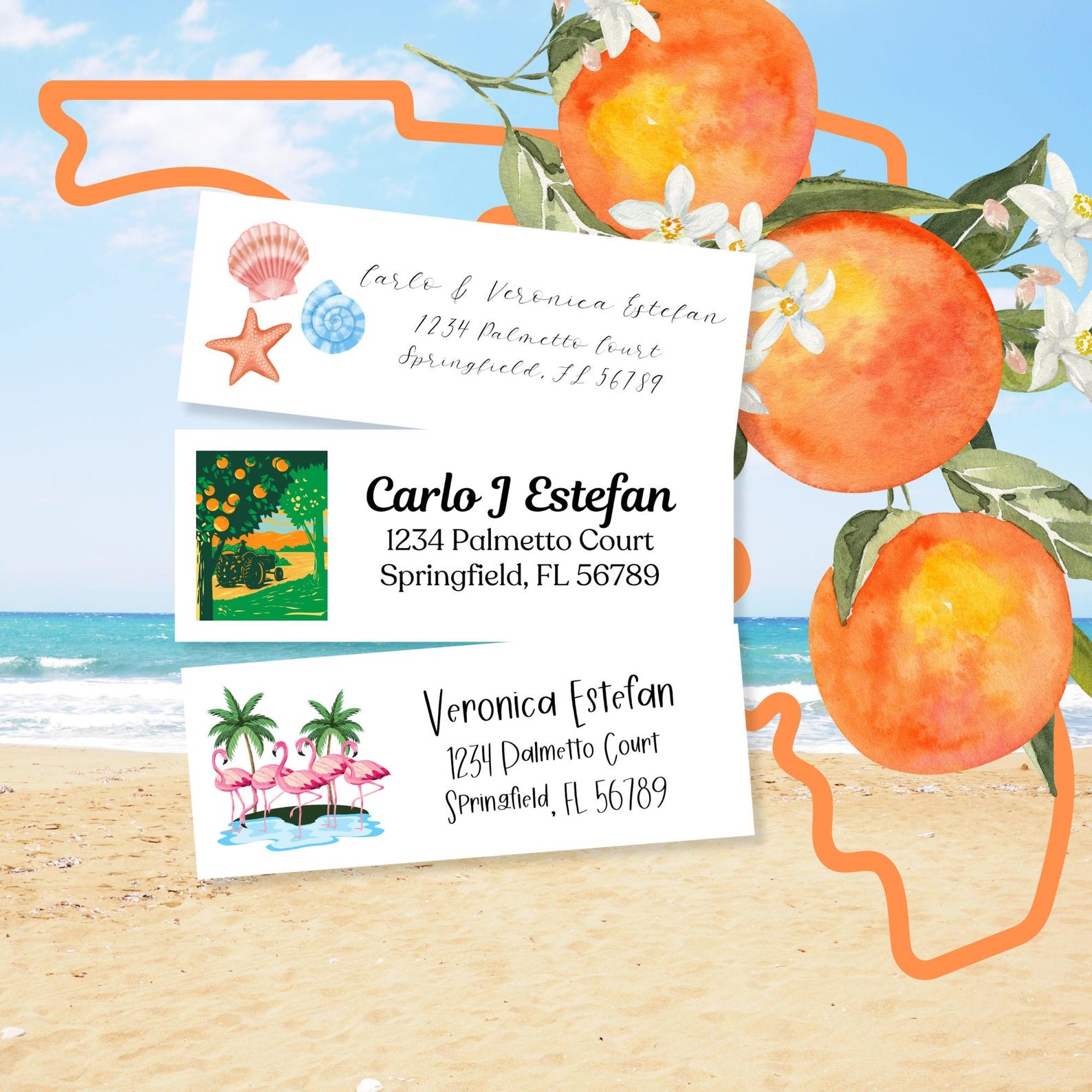 Florida State Mailing Labels | Sunshine State Mailing Labels | Florida ...