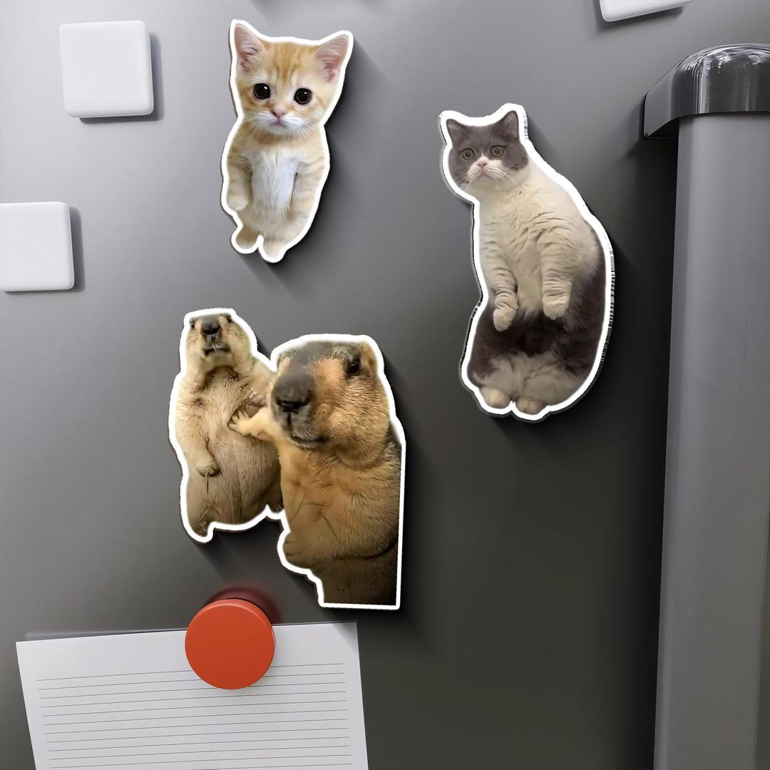 Meme Fridge Magnets - Etsy