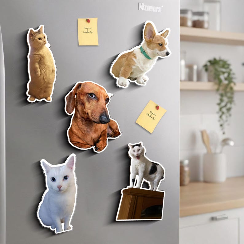 Meme Fridge Magnets - Etsy