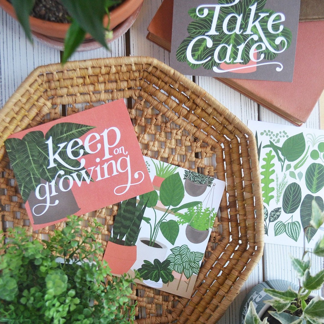 Houseplants Postcard Set, 8 Postcards, Plant Lady, Plant Lover, Plant ...
