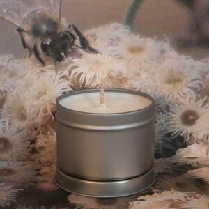 HONEY FARM Honey & Almond Candles, Handmade Soy Candles, Honey Almond ...