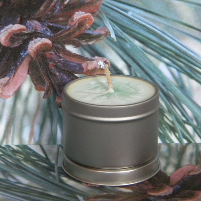 PINE N DANDY Balsam Pine Room Spray Natural Air Freshener | Etsy