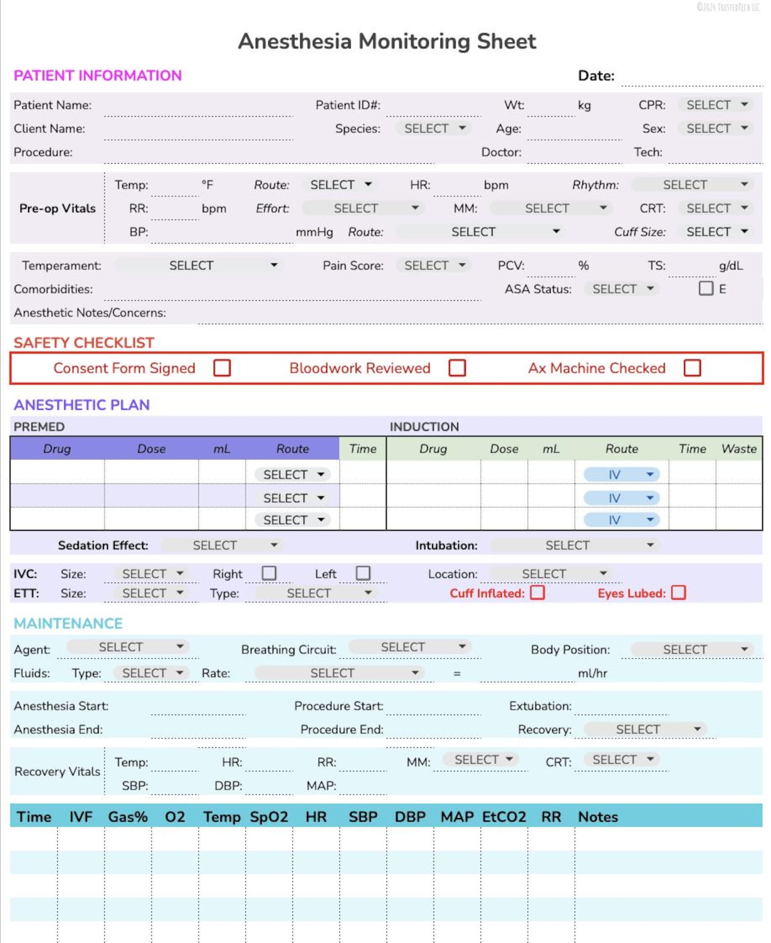 Anesthesia Sheet Template Self-charting Veterinary - Etsy