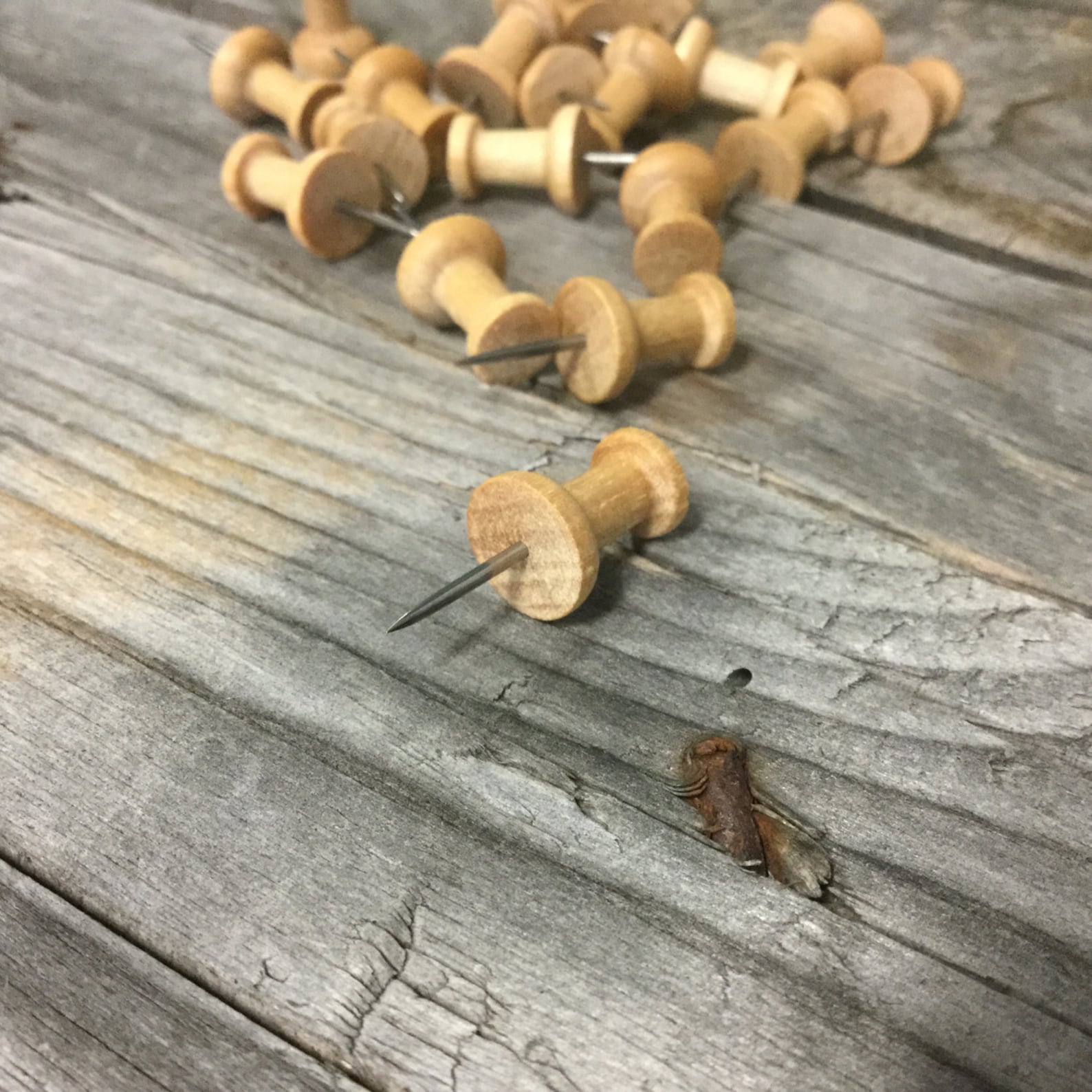 Craft Push Pins Light Wood Qty 25 - Etsy