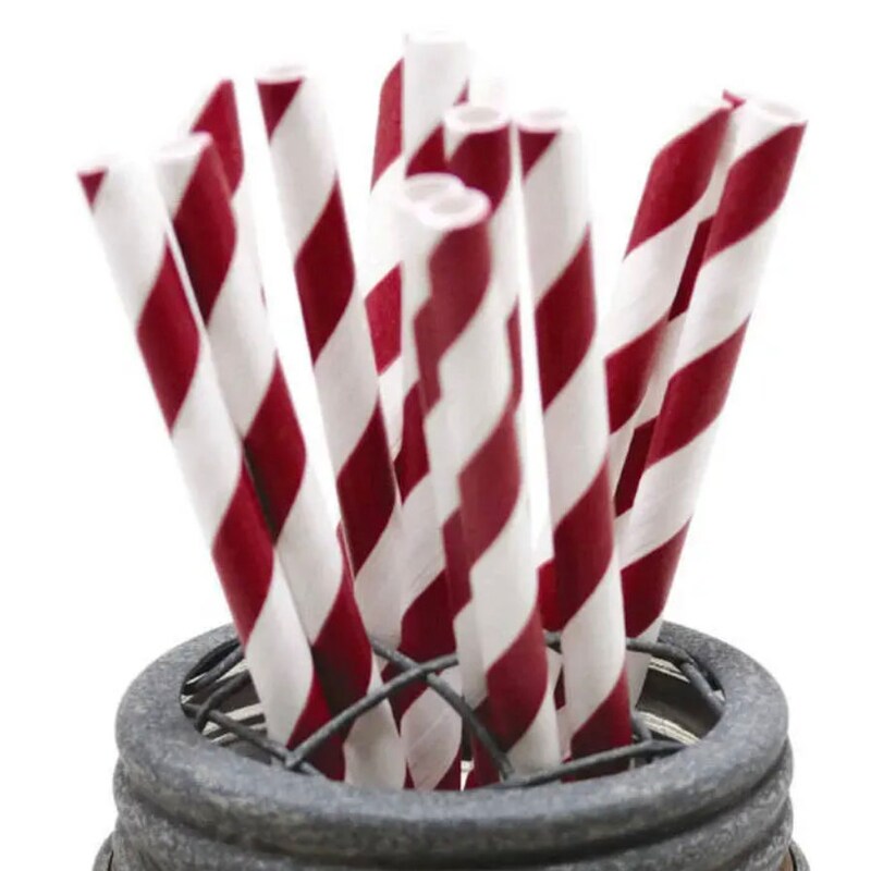 Striped Stanley Cups - Etsy