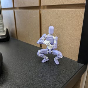 DUMMY 13 Customizable 3D Printed Action Figure, 100% Scale - Etsy