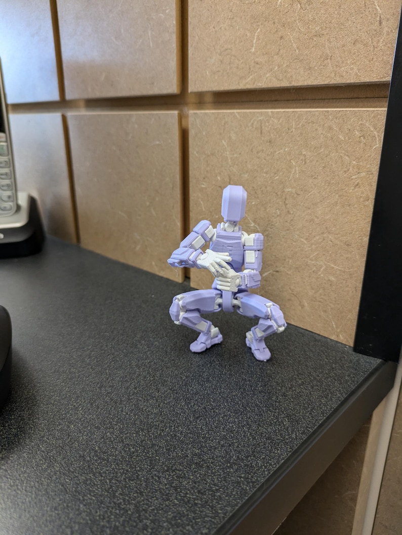 DUMMY 13 Customizable 3D Printed Action Figure, 100% Scale - Etsy