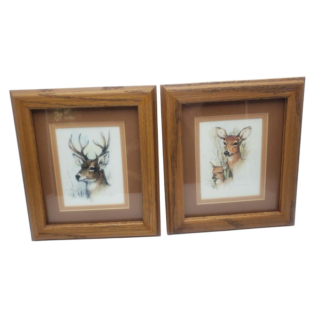 Paul Whitney Hunter Framed Deer Wildlife Prints 8 X 8" MCM Pencil ...